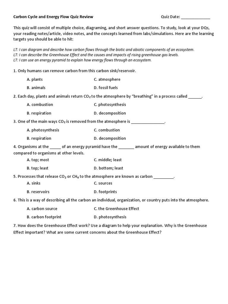 Carbon Cycle and Energy Flow Quiz Review | PDF | Carbon Cycle ...