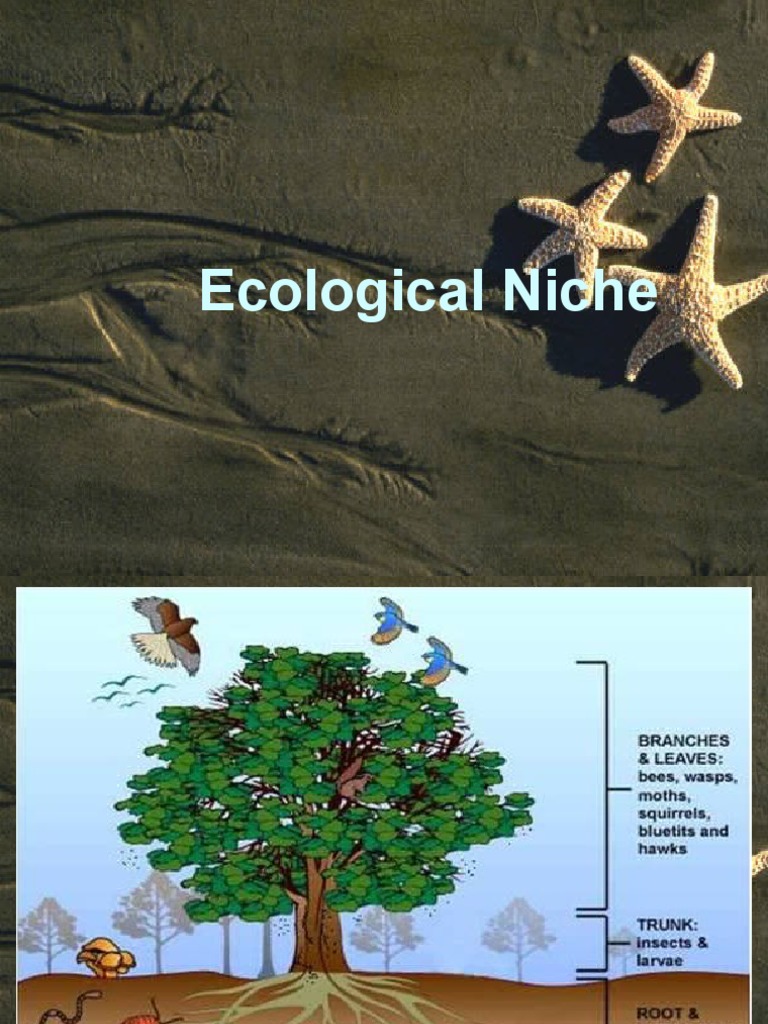 Ecological Niche | PDF