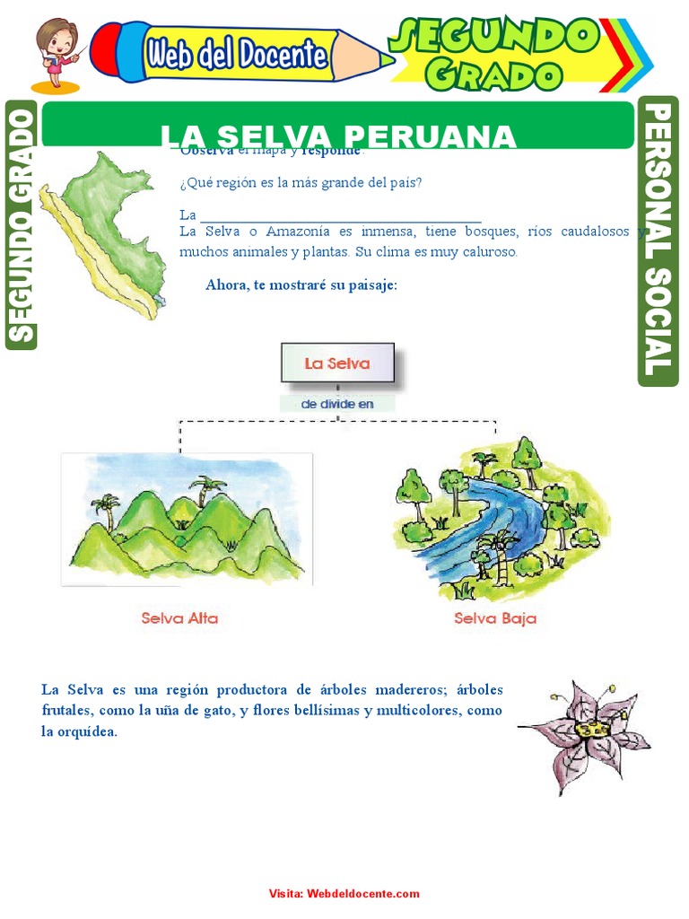 La-Selva-Peruana y Sus Recursos | PDF | Selva amazónica | Perú