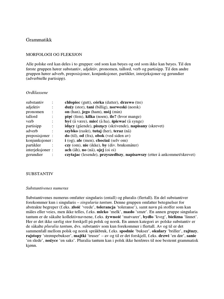 Polsk Grammatikk | PDF