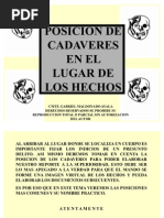Posiciones Cadavericas | PDF | Términos anatómicos de ubicación