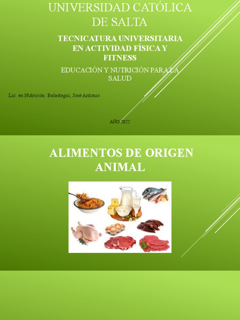 Alimentos de Origen Animal: Guía Nutricional | PDF | Carne | Leche
