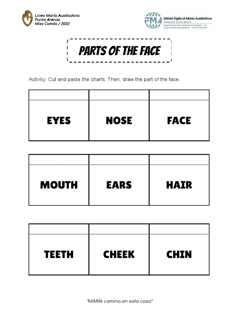 Parts of The Face 2 | PDF | Art | Wellness