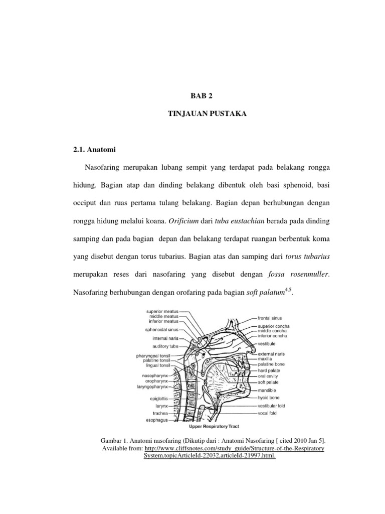 CA Nasofaring PDF | PDF