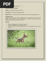 The Rozvi State | PDF