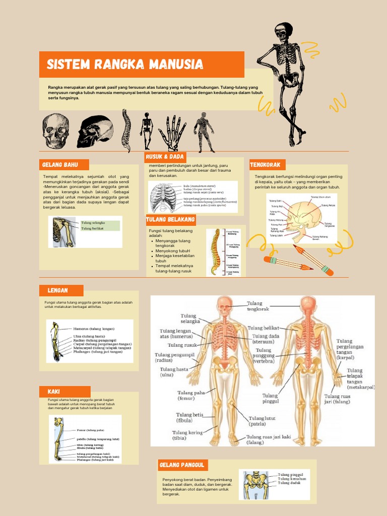 Poster Sistem Rangka | PDF