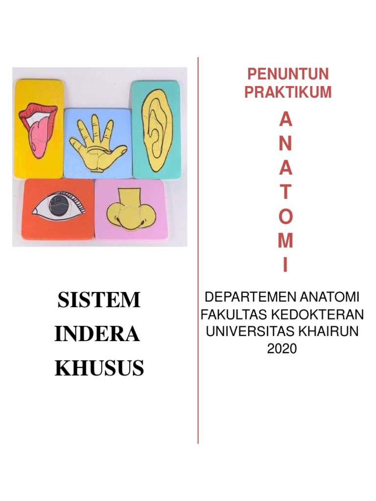 Anatomi Regio Facialis | PDF