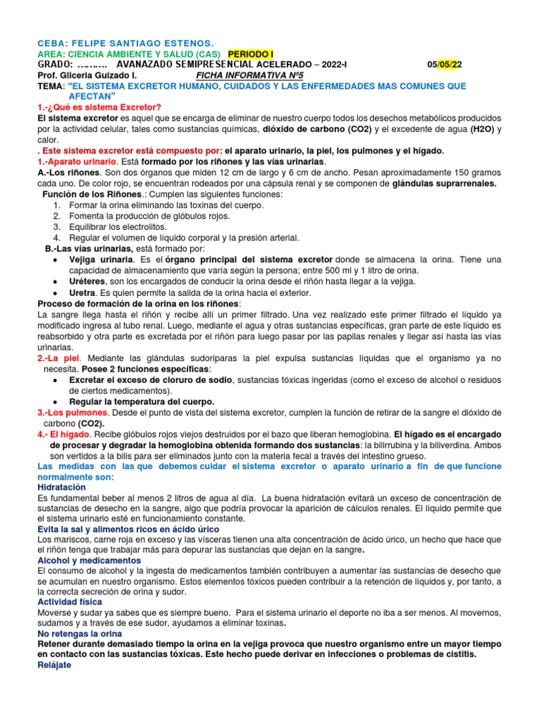 1º - 4º Cas SMP 2022. I Ficha Informativa Nº5 Cuidados y Enfermedades Del Sistema Excretor | PDF ...