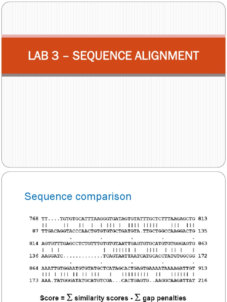 LAB 3 - Sequence Alignment | PDF