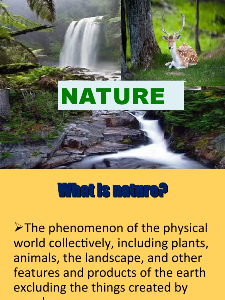 Importance of Nature and Its Protection | PDF | Wellness | Science ...