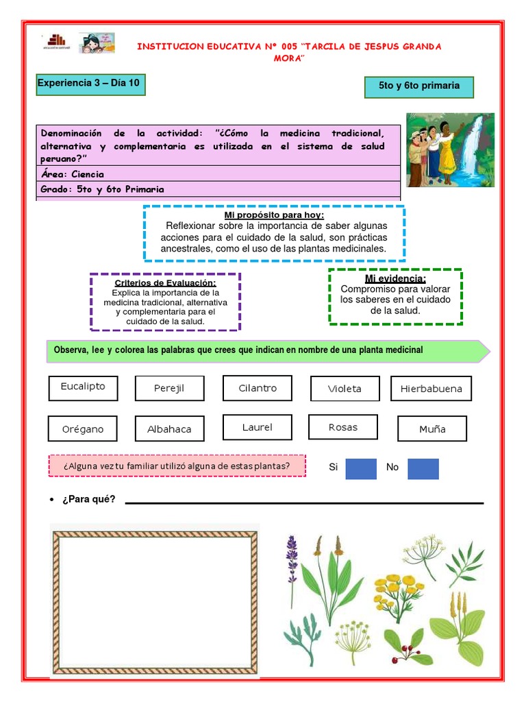 Ficha - Cuidemos La Salud - 5to y 6to Primaria | PDF | Medicina