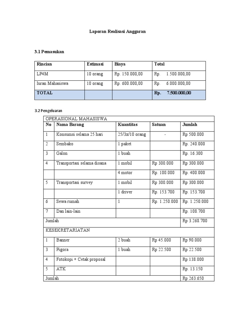 Laporan Realisasi Anggaran | PDF