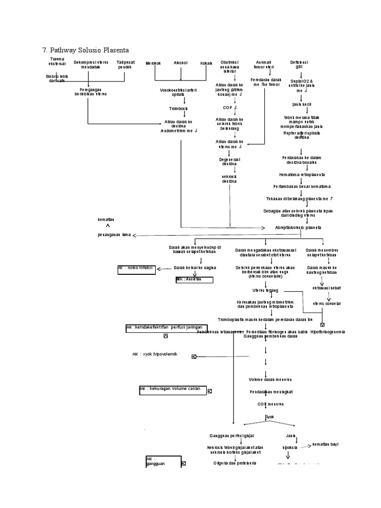 Pathway Solusio Plasenta | PDF