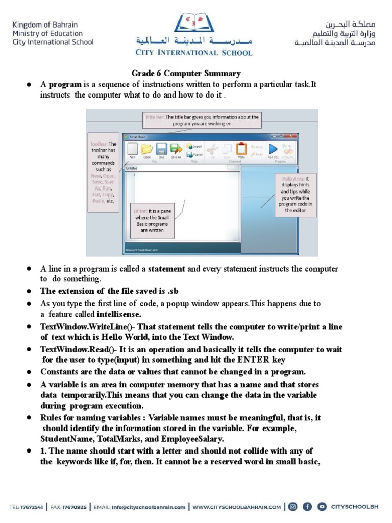 Grade 6 Computer Summary | PDF | Variable (Computer Science) | Internet ...