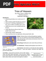 Identifying Tree of Heaven in Michigan | PDF | Trees | Ecology