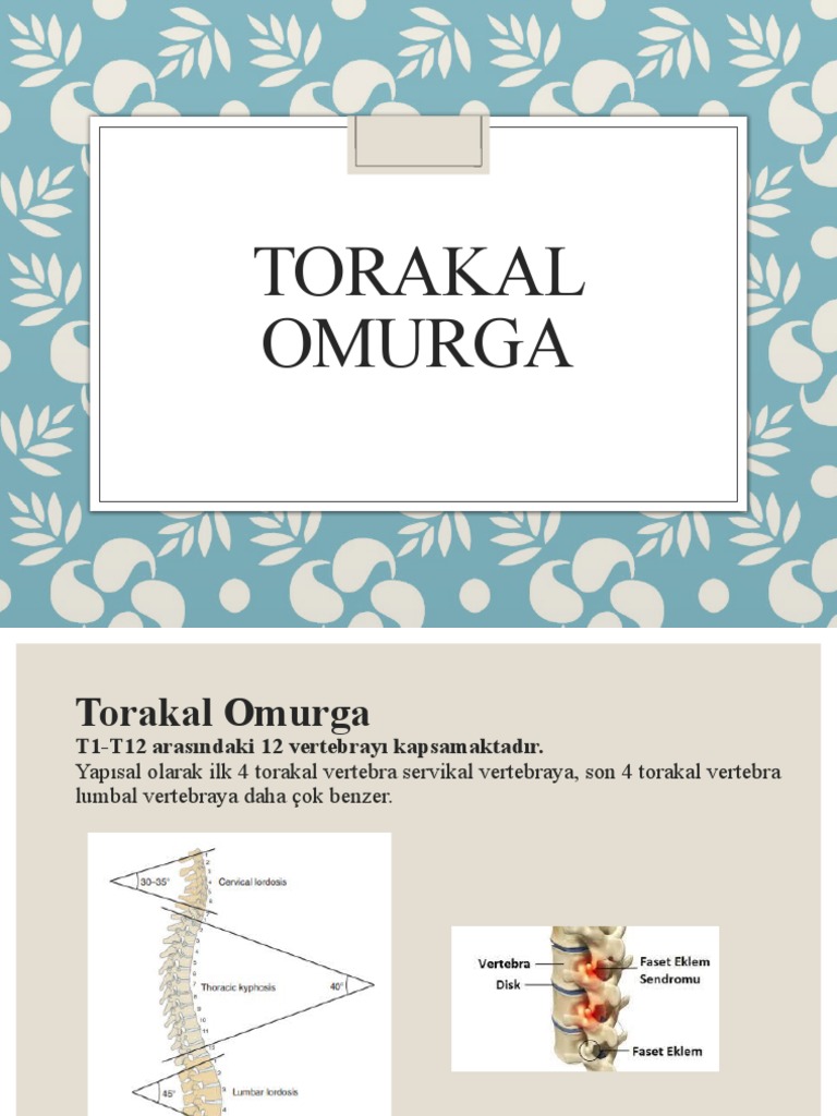 Kinezyoloji-5 Torakal Bölge | PDF