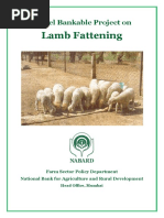Sheep Farm Project Report - Project Report | PDF | Sheep | Livestock