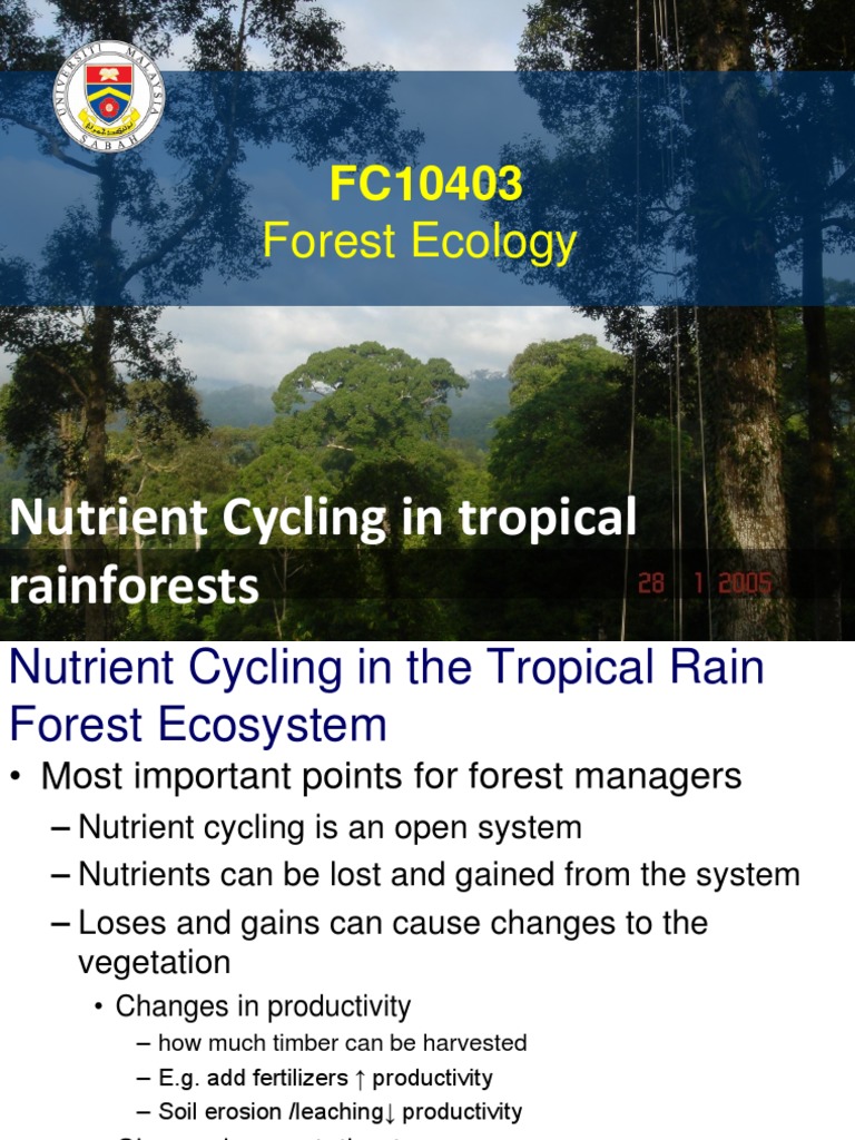Nutrient Cycling in Tropical Rainforests | PDF | Soil | Natural Environment
