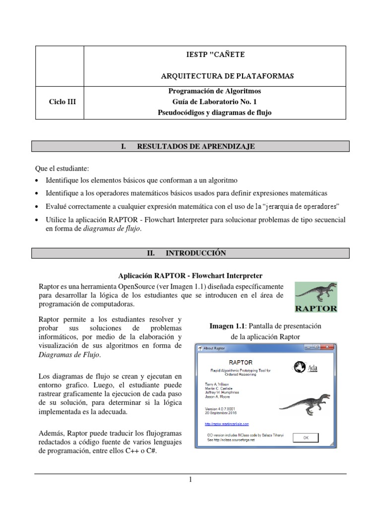 Manual Raptor | PDF | Lenguaje de programación | Algoritmos