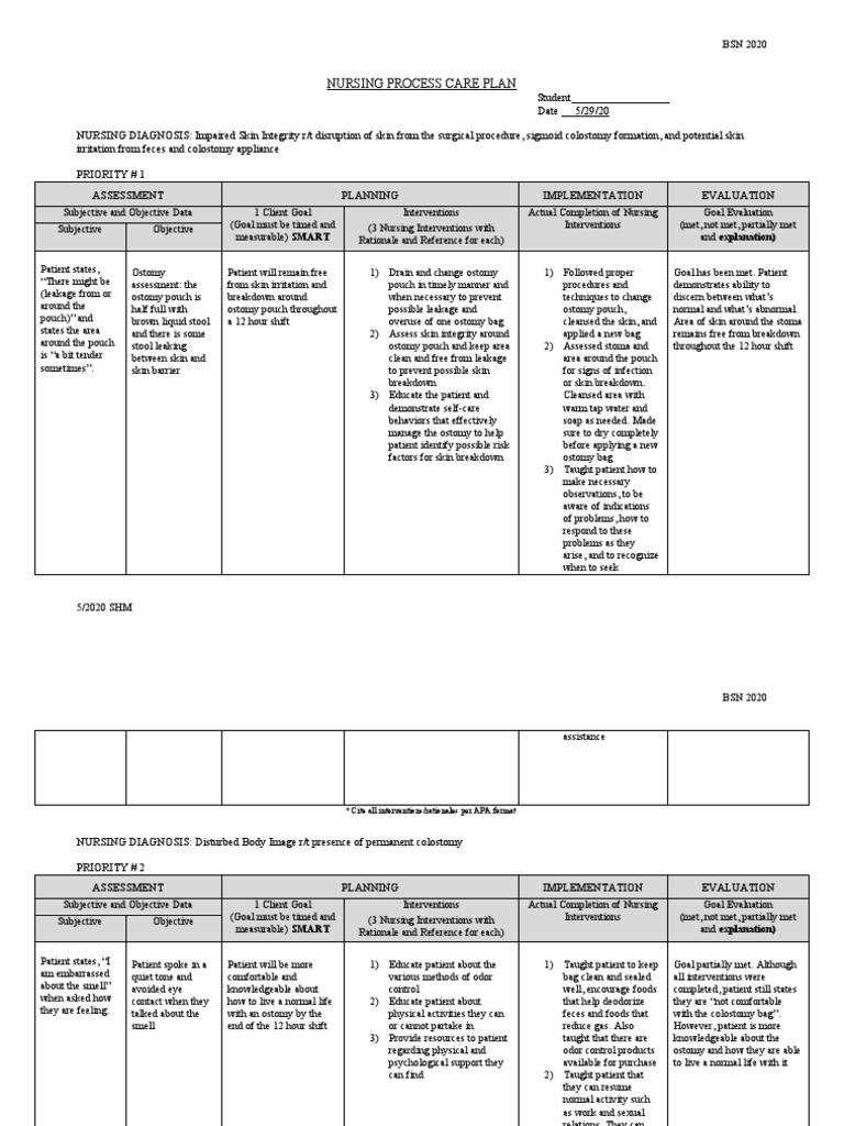 Nursing Process Care Plan | PDF | Psychology | Health Sciences