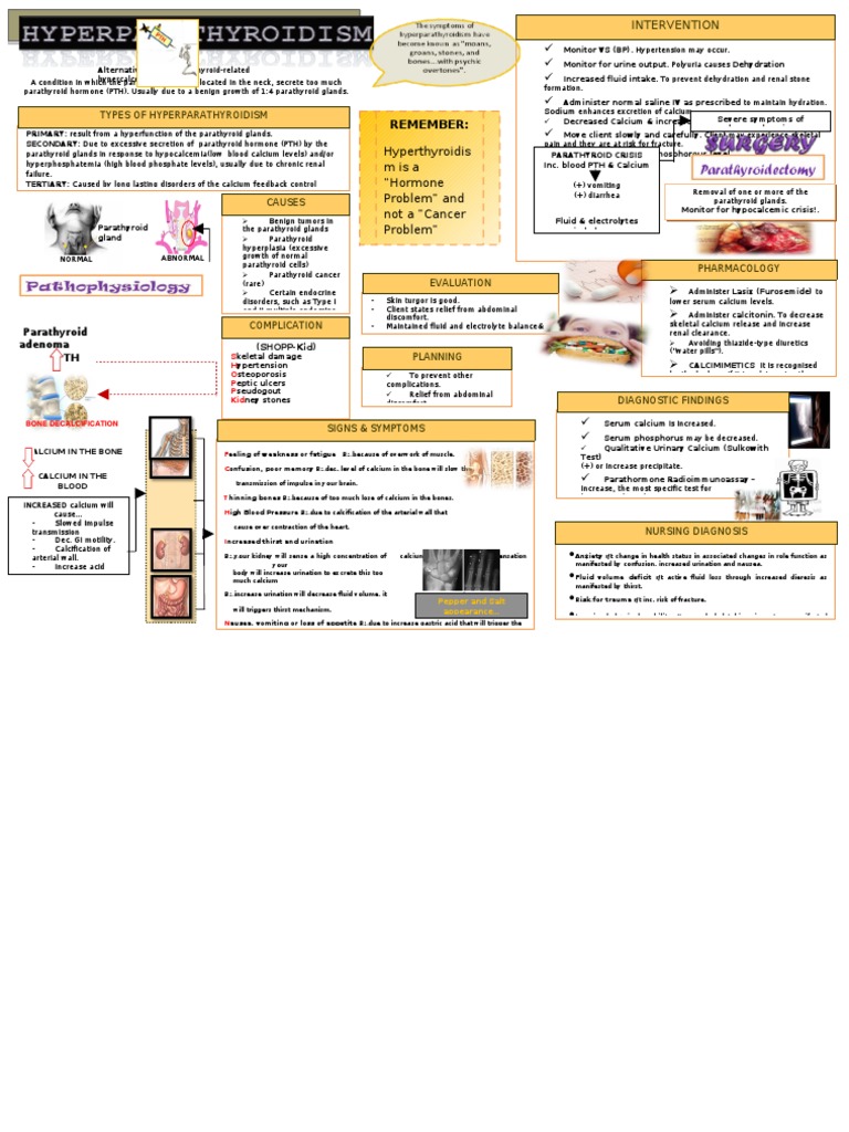 Hyperparathyroidsm HANDOUT | PDF | Glands | Organ (Anatomy)