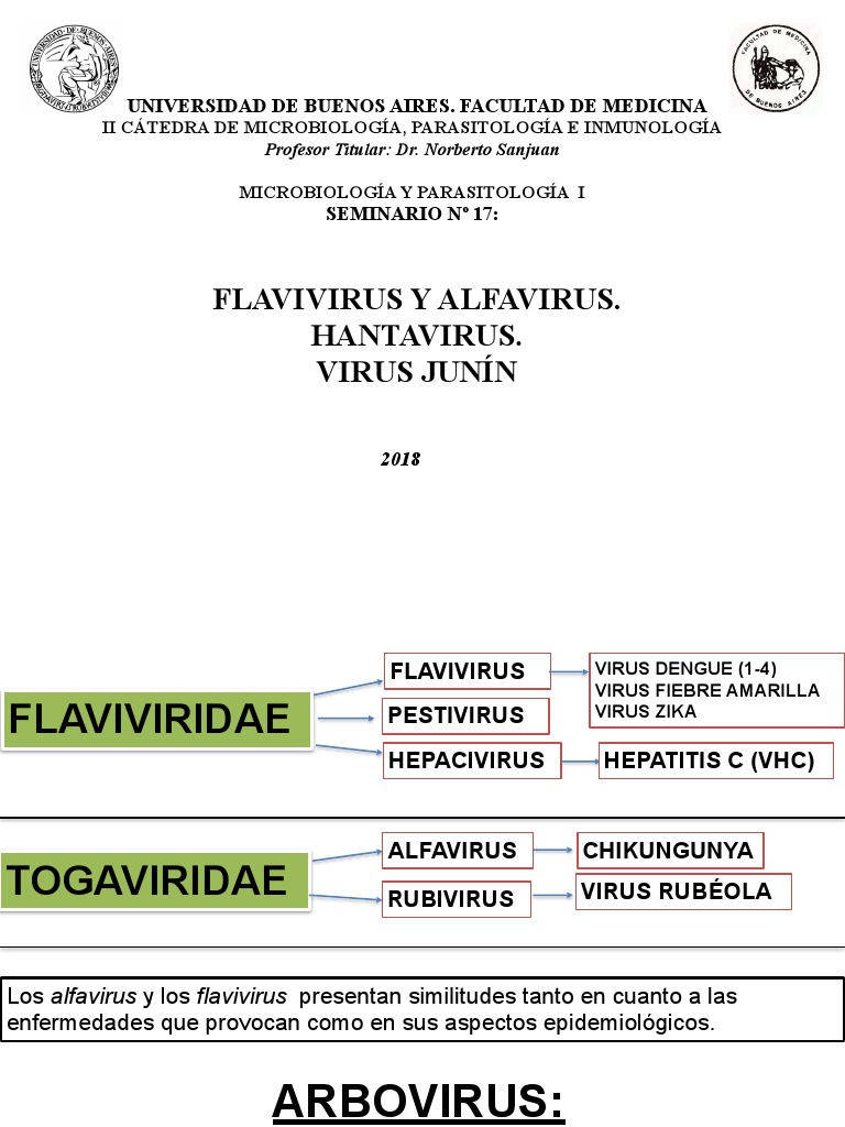 Seminario N 17 | PDF | Virus Zika | Virus