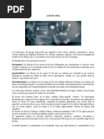 Clasificacion de Quirogramas - Quiros | PDF | Mano | Huella dactilar