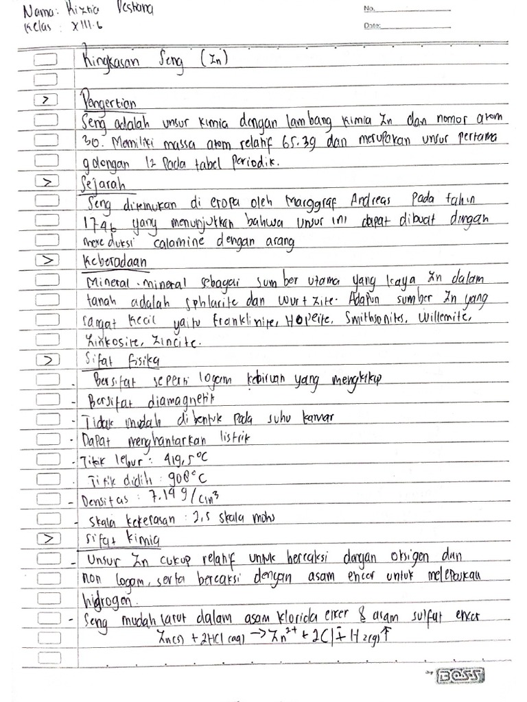 13.6 - Riztia Destiana - Ringkasan ZN (Seng) | PDF