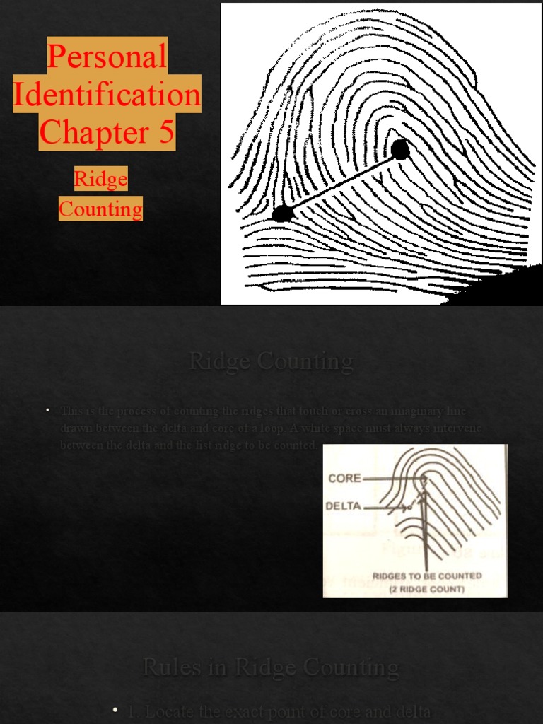 RIdge Counting | PDF