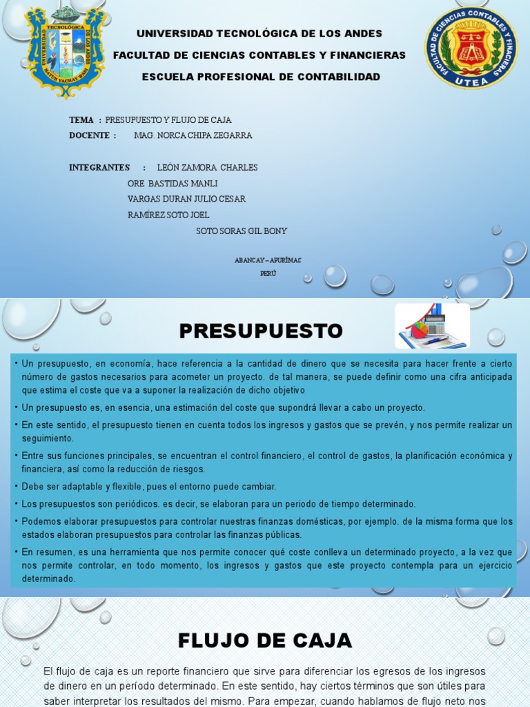 Presupuesto y Flujo de Caja | PDF | Presupuesto | Flujo de efectivo