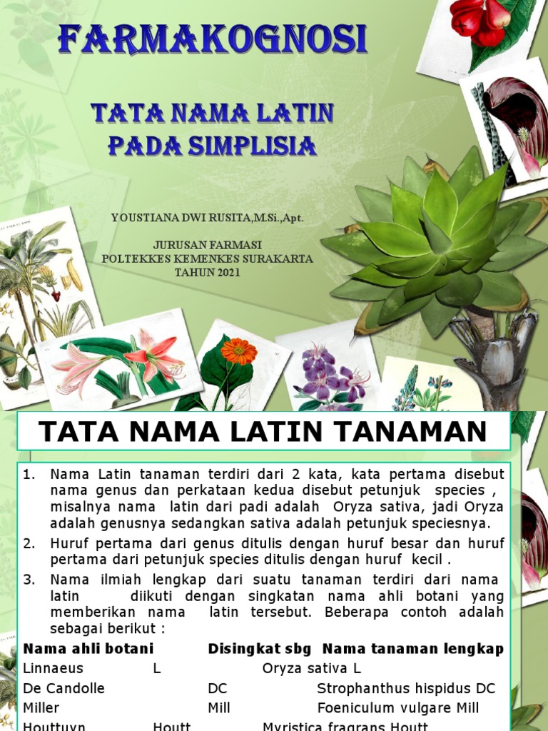 Tata Nama Latin Simplisia | PDF