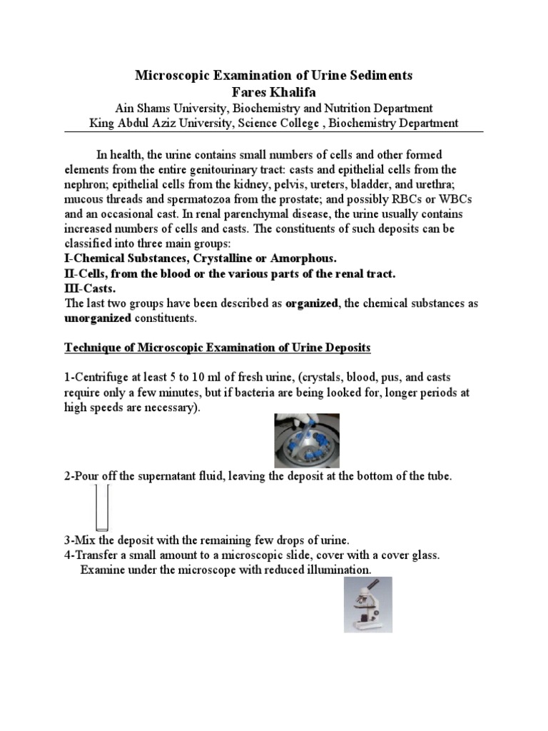 Microscopic Examination of Urine Sediments | PDF | Urine | Urinary System