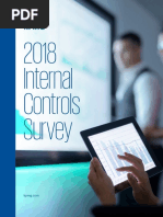 Ey Internal Control Toolkit WCGW For Small Ngos en | PDF