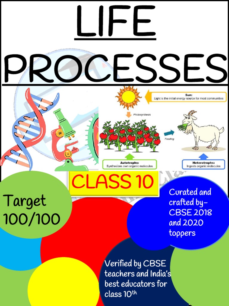 Life Process. | Download Free PDF | Circulatory System | Cellular ...