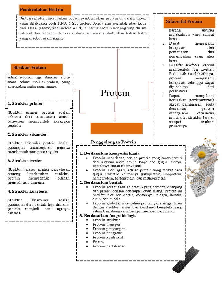 Tugas Mindmap | PDF