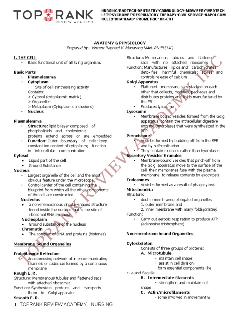 1 Toprank Review Academy - Nursing | PDF | Heart Valve | Vertebra