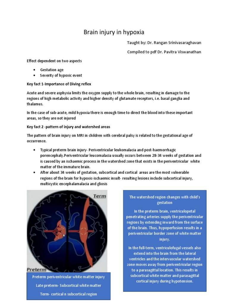 Brain Injury and HIE Updated | PDF | Cerebral Cortex | Neuroscience