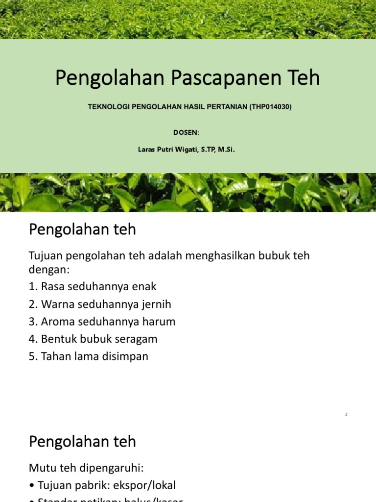 14-15. Pengolahan Pascapanen Teh | PDF