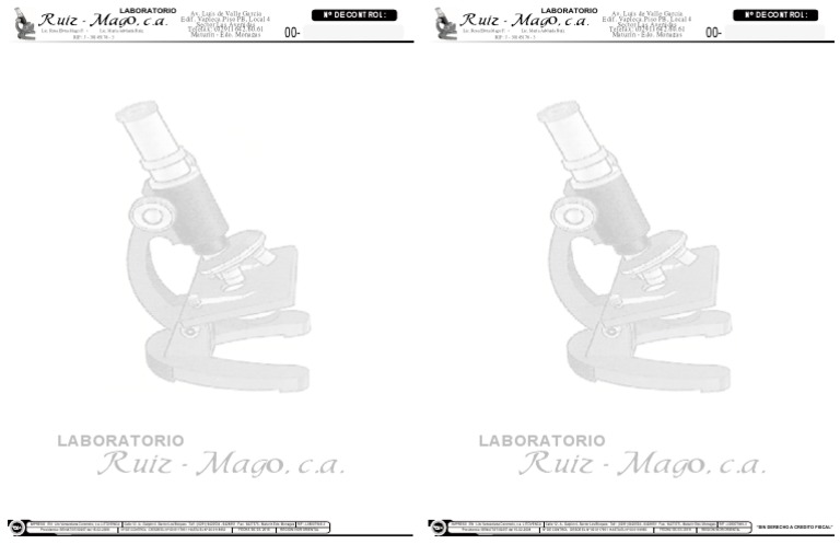 Modelo Cuarto de CArta | PDF | Tecnología de información y ...