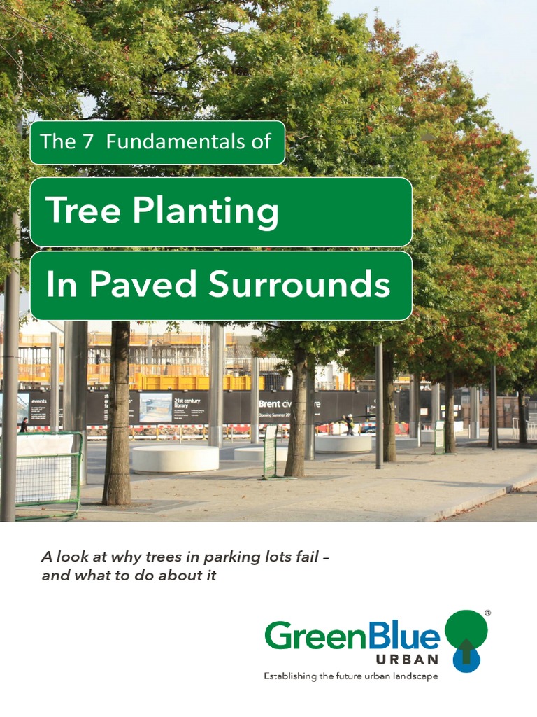 Tree Planting in Paved Surrounds: The 7 Fundamentals of | PDF | Trees ...