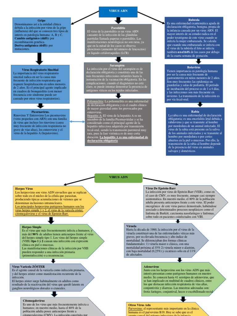 Clasificación de Virus ARN y ADN | PDF | Virus | Herpes Simple