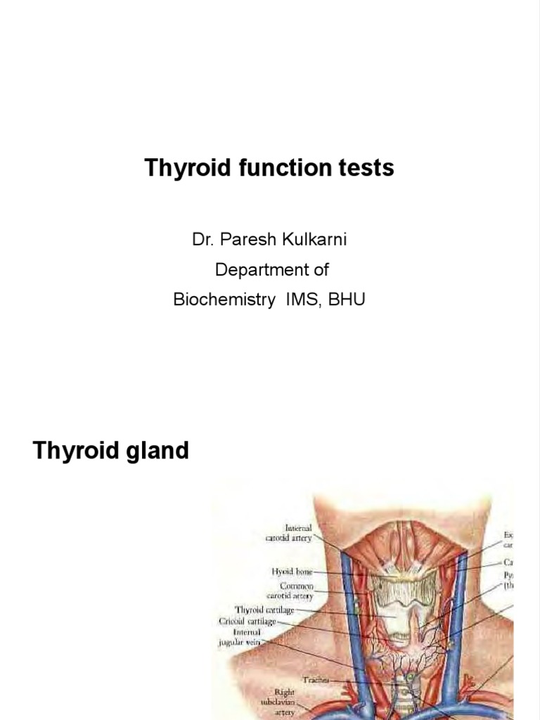 Thyroid Function Tests PPT of IMS BHU | PDF | Thyroid Stimulating ...