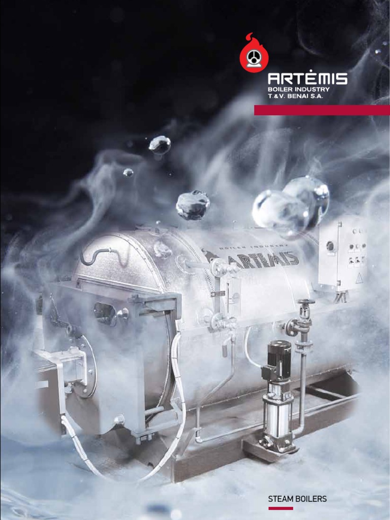 PRN-D Reverse Flame Tube Boiler | PDF | Boiler | Steam