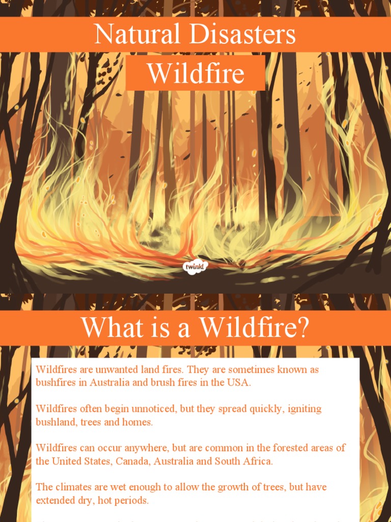 T2 G 413 Natural Disasters Wildfire Information PowerPoint | PDF ...