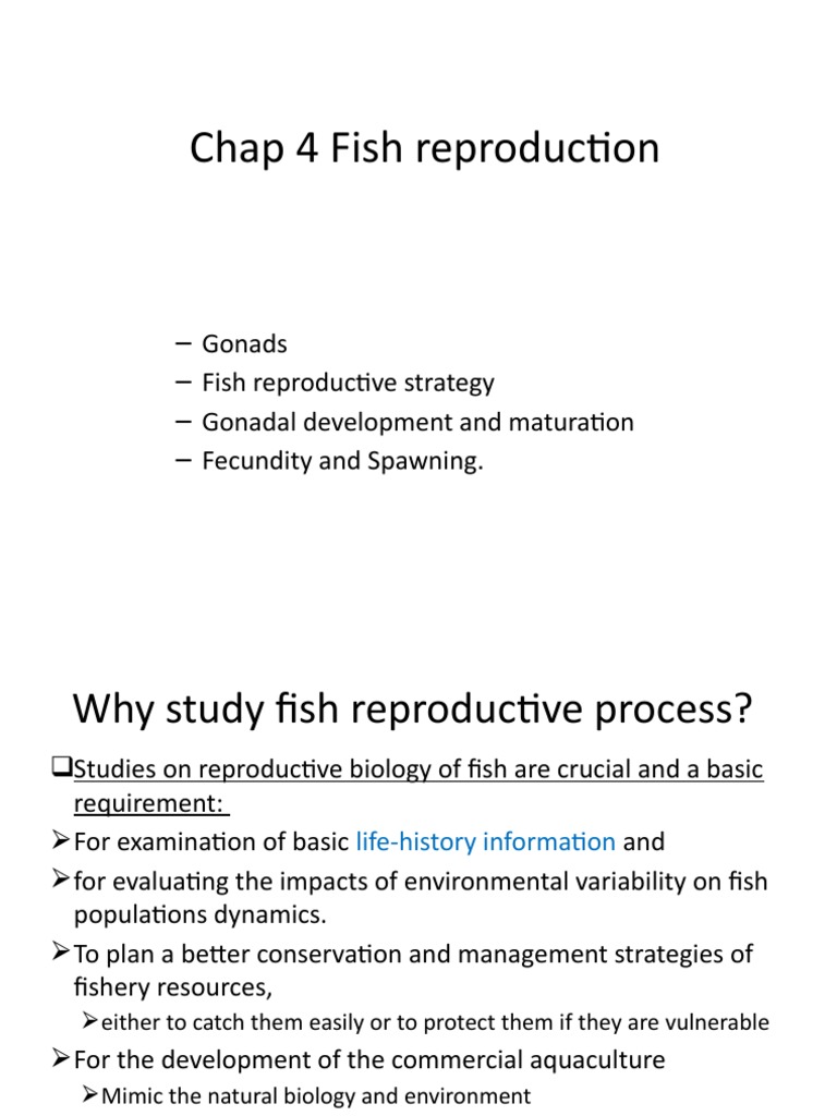 Chap 4 Fish Reproduction | PDF | Spawn (Biology) | Egg