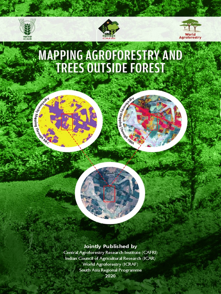 Mapping Agroforestry and Tree Outside Forest | PDF | Forests | Biomass