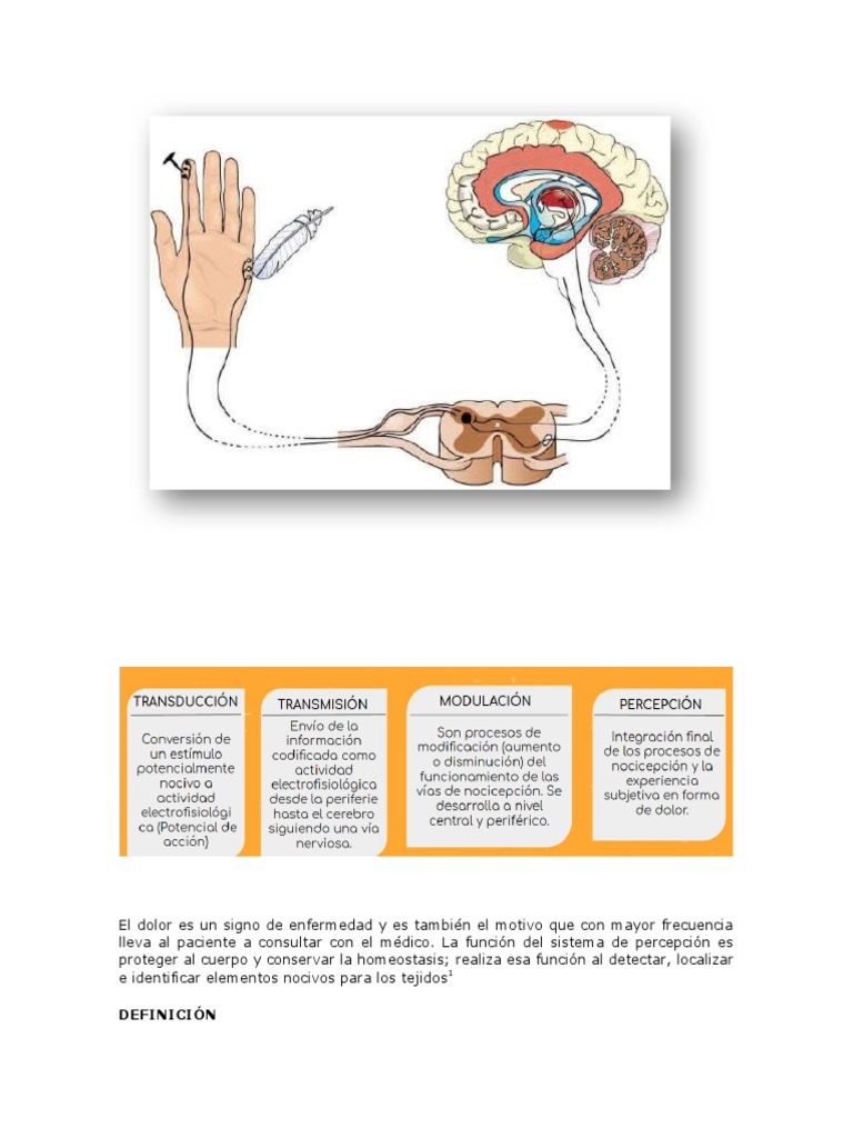 Semio | PDF | Dolor | Infarto de miocardio