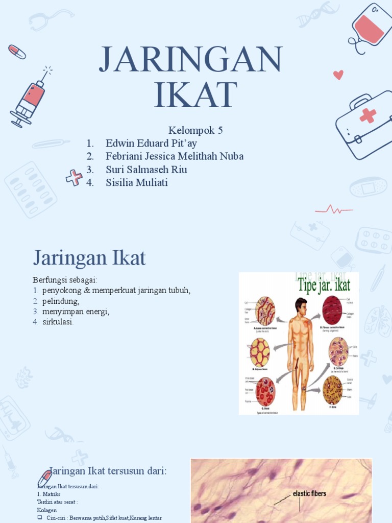 Jaringan Ikat | PDF