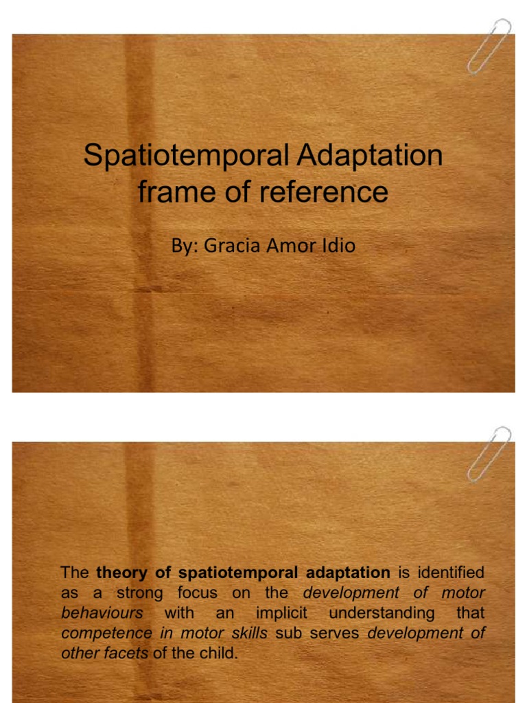 Spatiotemporal Adaptation Frame of Reference | PDF