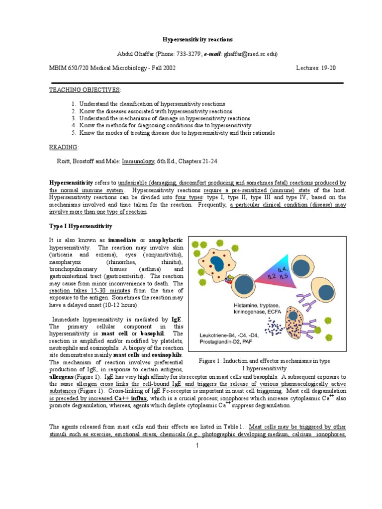 Hypersensitivity | PDF | Immune System | Allergy